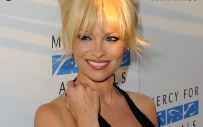 How Pamela Anderson Was Discovered At A Football Game | Fame Book